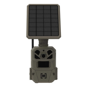 Moultrie
